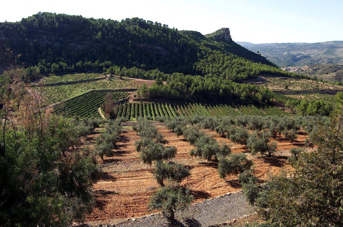 C'est le temps des récoltes | Favuzzi Distributeur Alimentaire Canada